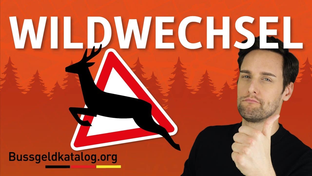 Wildwechsel: Wann steht er 2026 an und was ist zu beachten?